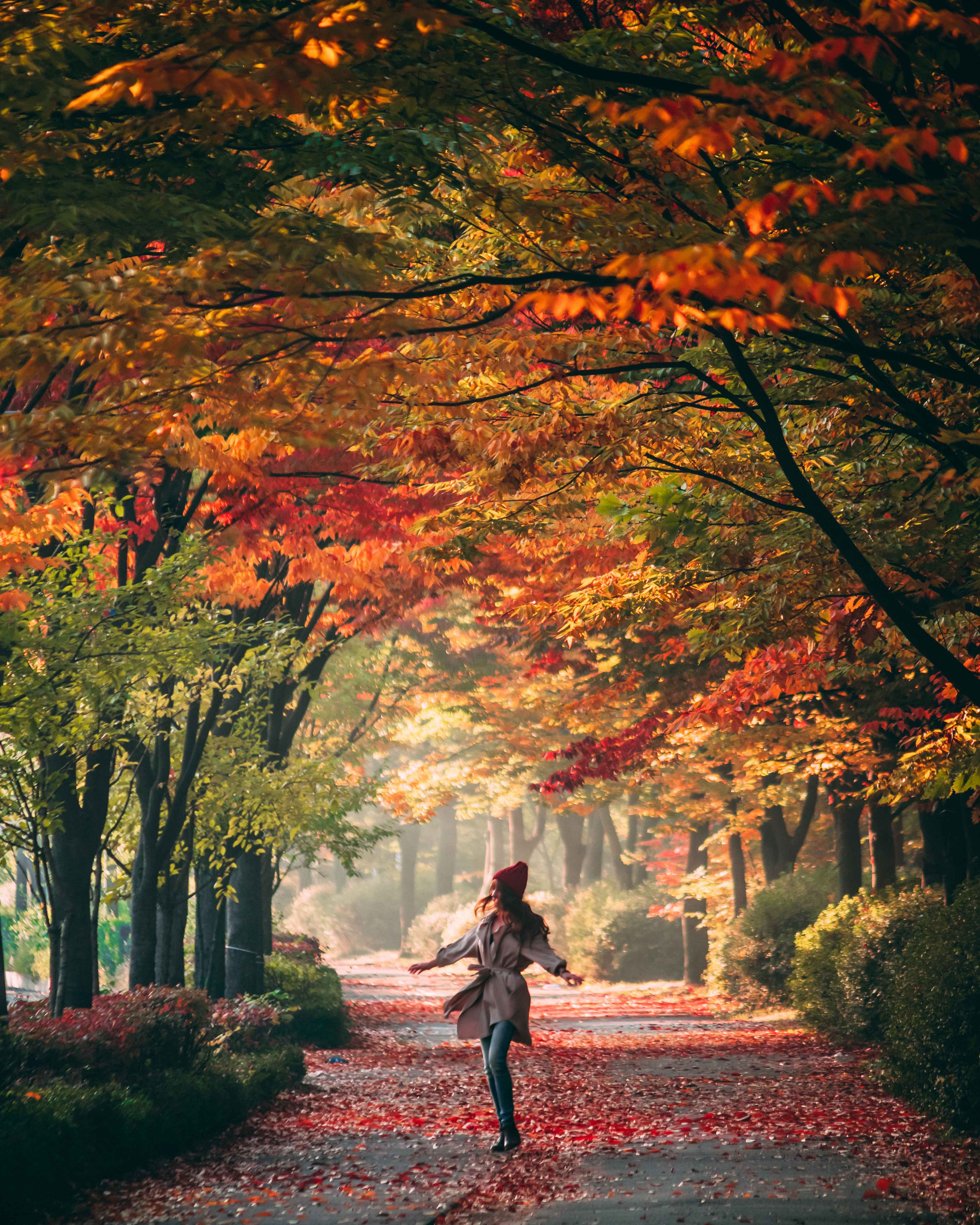 Ideas For September 2021 Content Calendars | Issuu