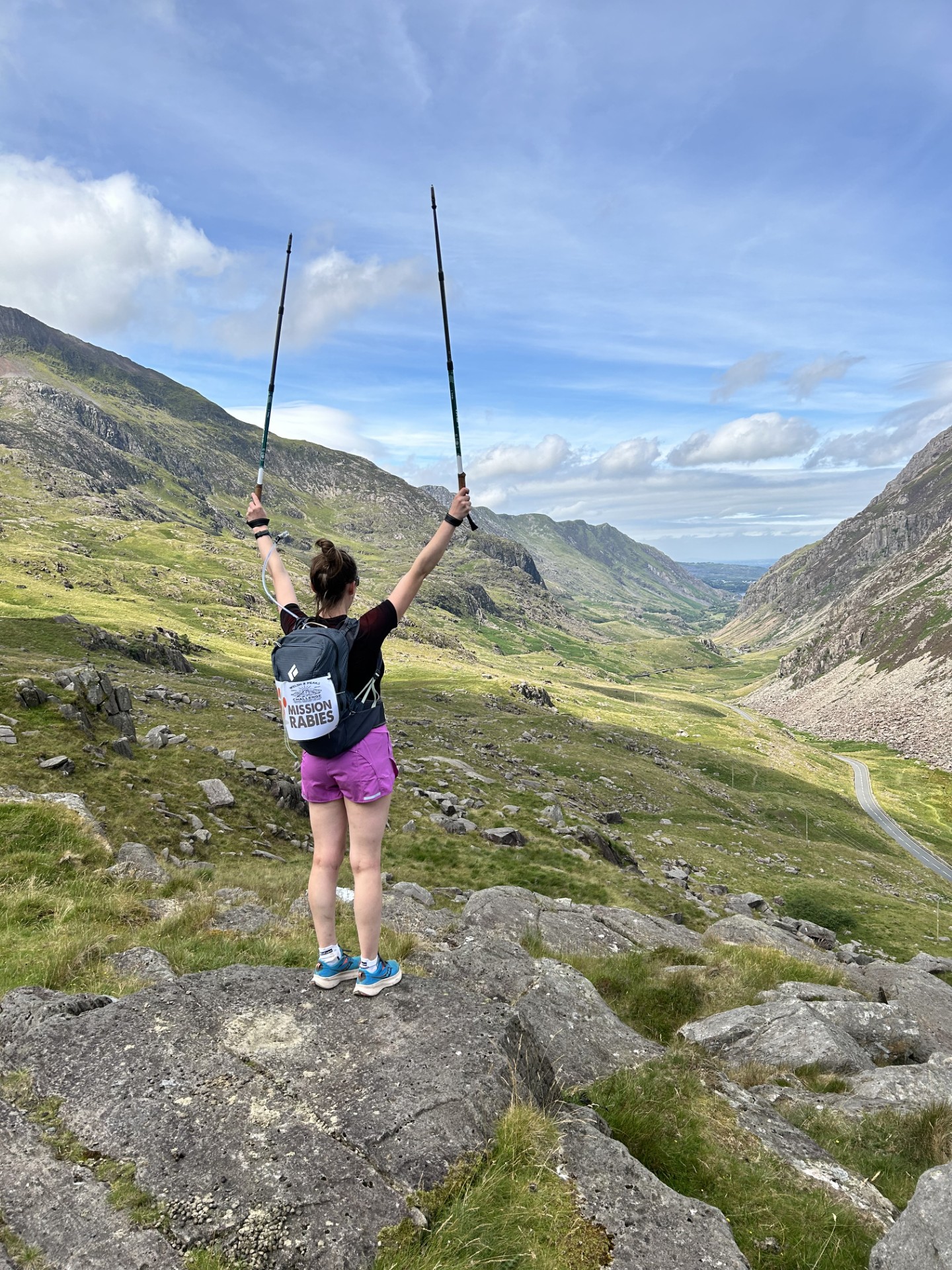 News // Mission Rabies