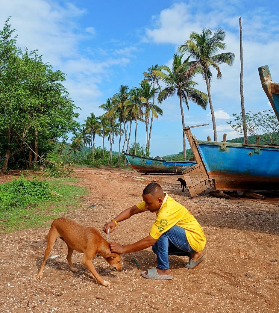 News // Mission Rabies