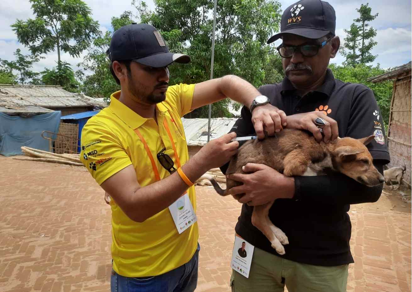 News // Mission Rabies