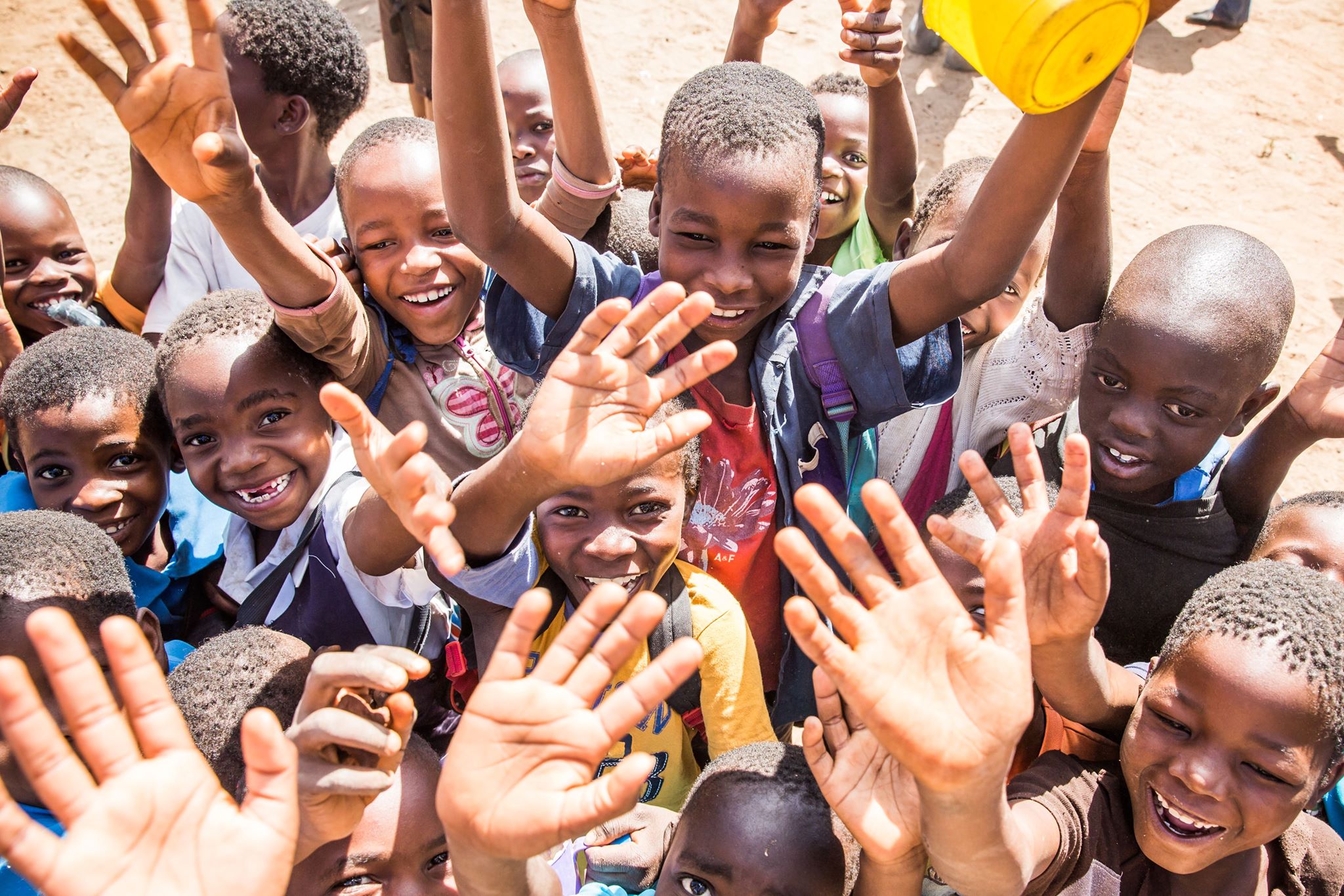 News // Mission Rabies