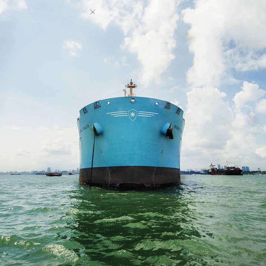 Bioenergy | What we do | Home