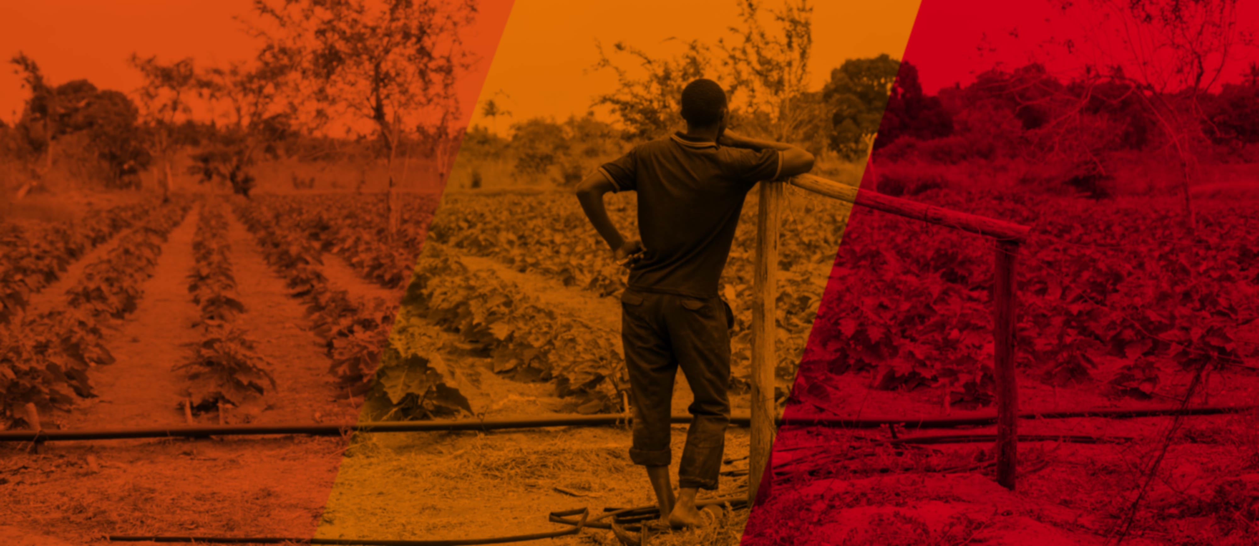 Inclusive Business: Reimagine Key Operations