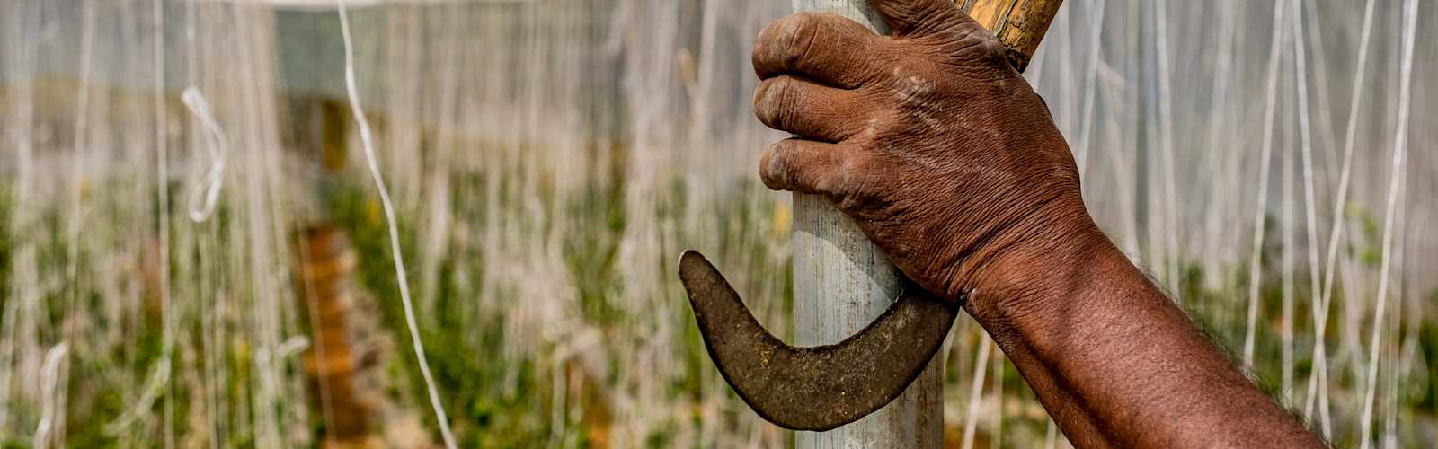 Lean Startup Principles for the Social Sector