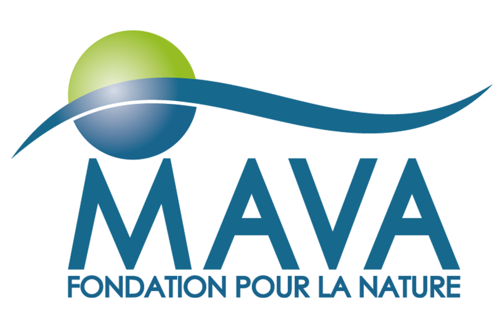 Designing for Environmental Sustainability and Social Impact