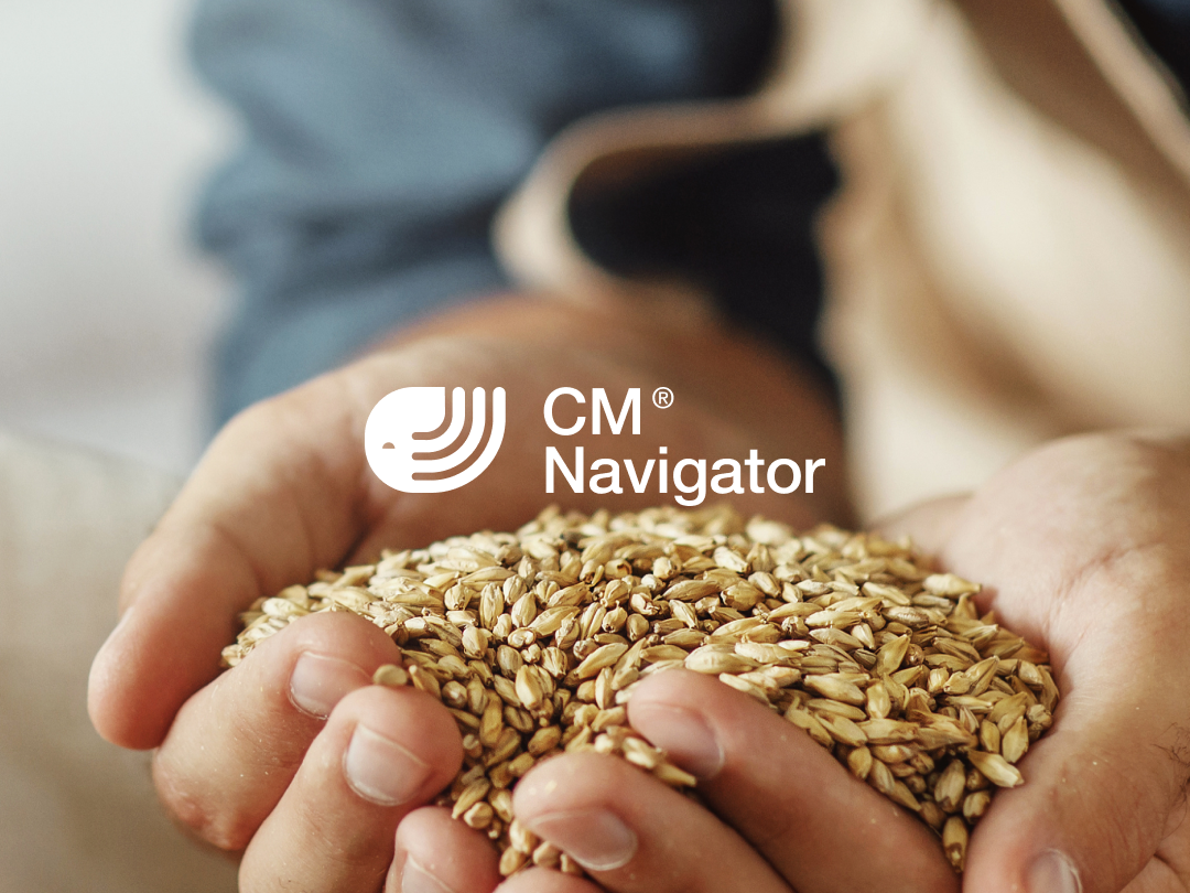 Brazilian crops - wheat and corn markets 2024