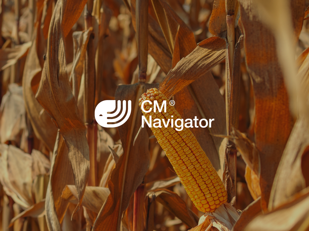 CM Navigator - Articles, News and Resources