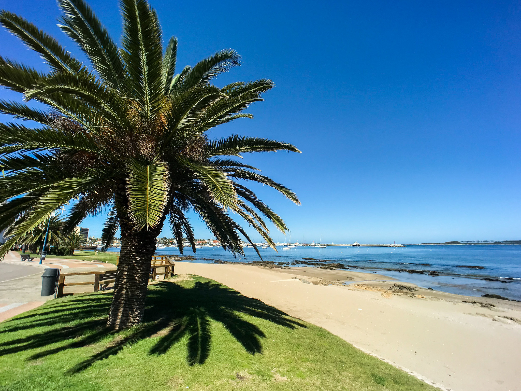 Uruguay Facts: Fun and Interesting Facts About Uruguay