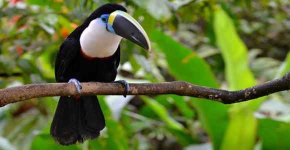 Tena, Ecuador: Retirement, Real Estate, Things to Do & Lifestyle Info