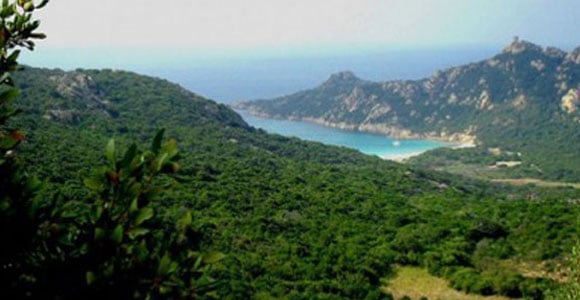 Climate in France: The Weather, Temperature & Average Rainfall