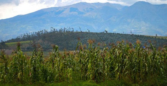 Ecuador Visa and Residence Information - International Living Countries