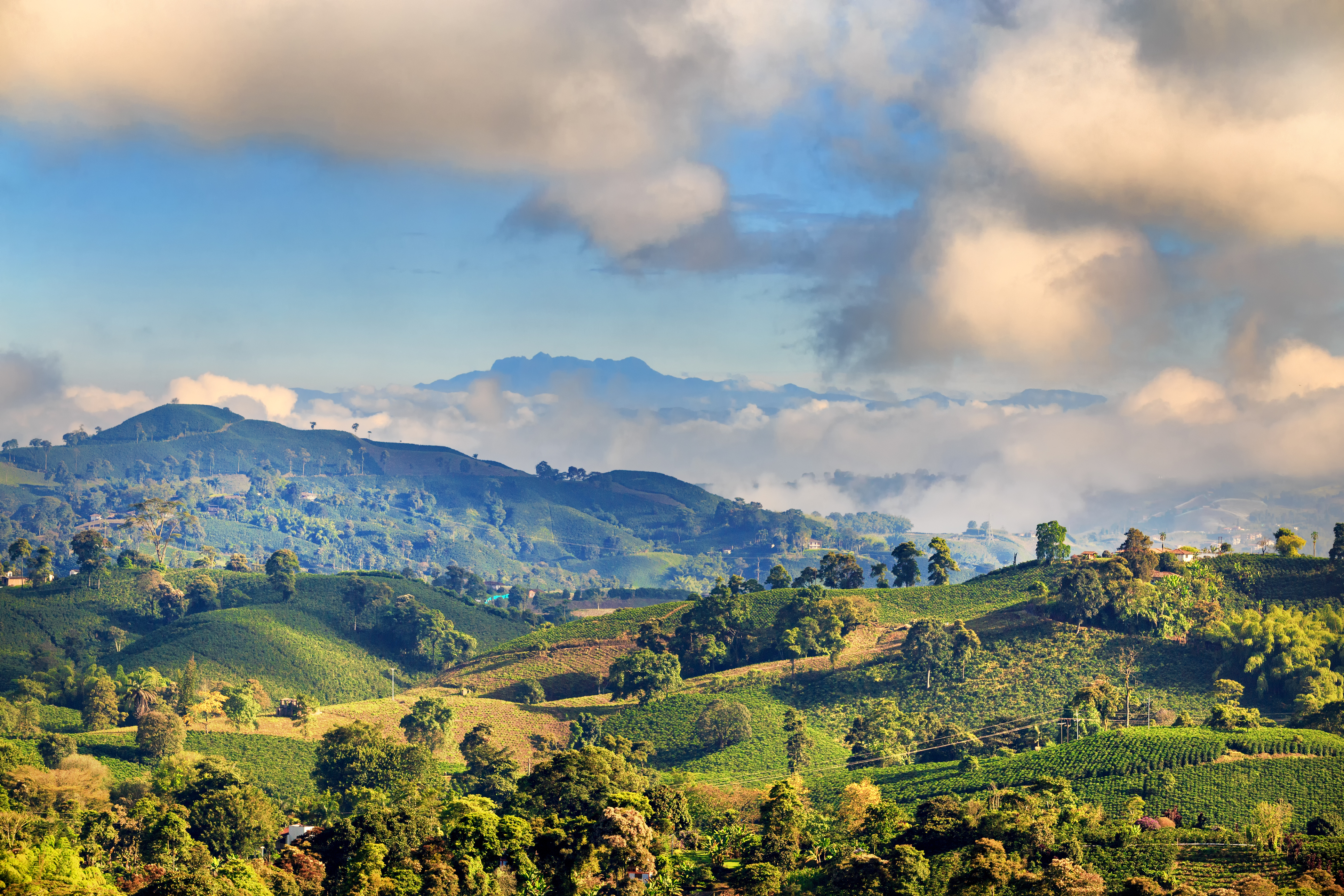 Guide to The Coffee Triangle, Colombia - Must See Towns and More