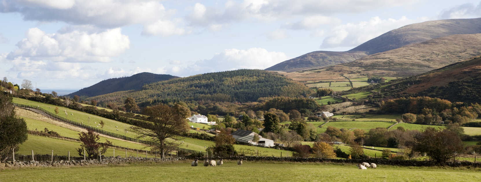 5 Reasons to Visit Ireland in Fall