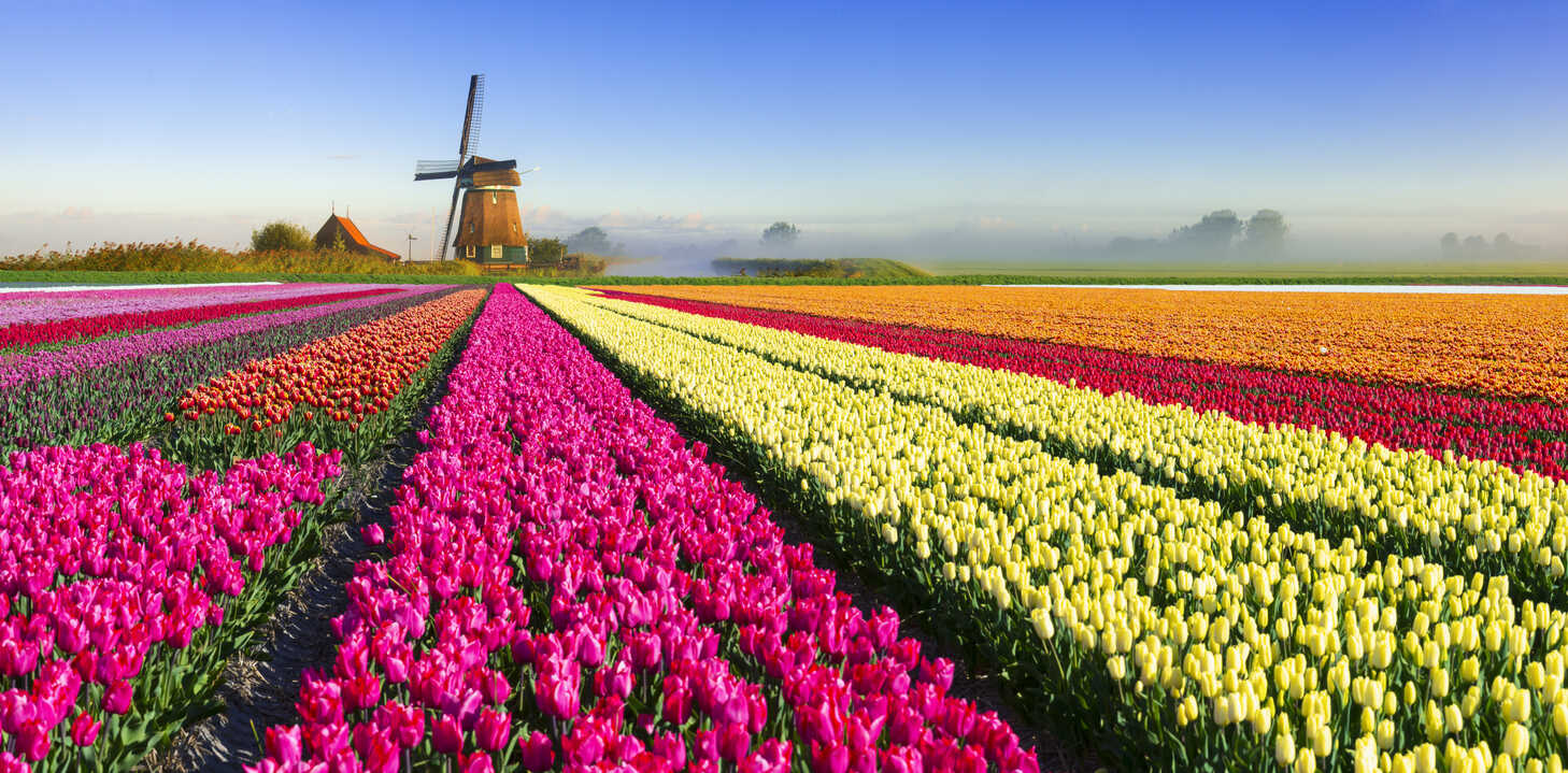 "Only Americans Need Apply": A Secret Access Route to Europe