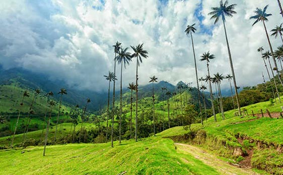 Guide to The Coffee Triangle, Colombia - Must See Towns and More