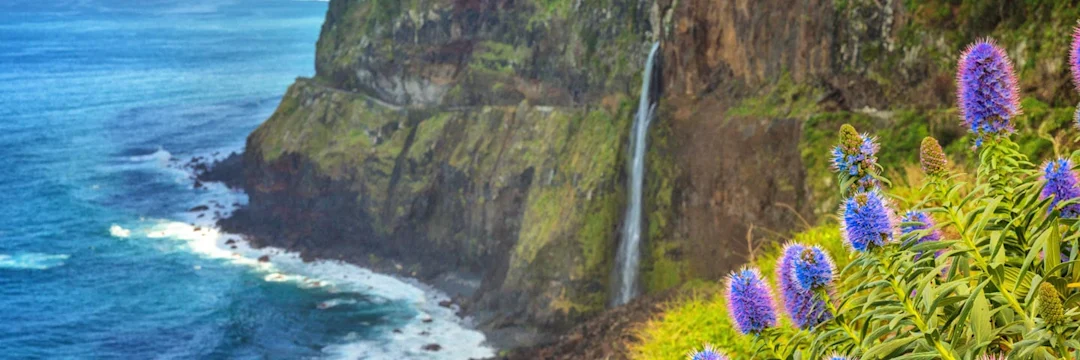 Reisetips til Madeira | Våre beste tips til reisen | Apollo