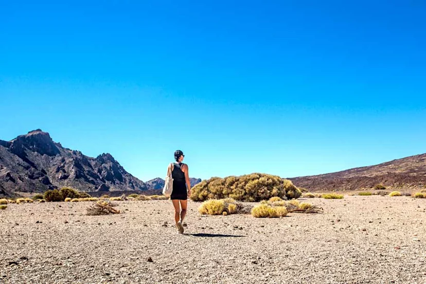 Oppdag vulkanen Teide på Tenerife, Kanariøyene | Apollo