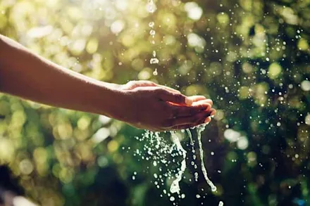 Om Apollo - turoperatøren og selskapet | Apollo