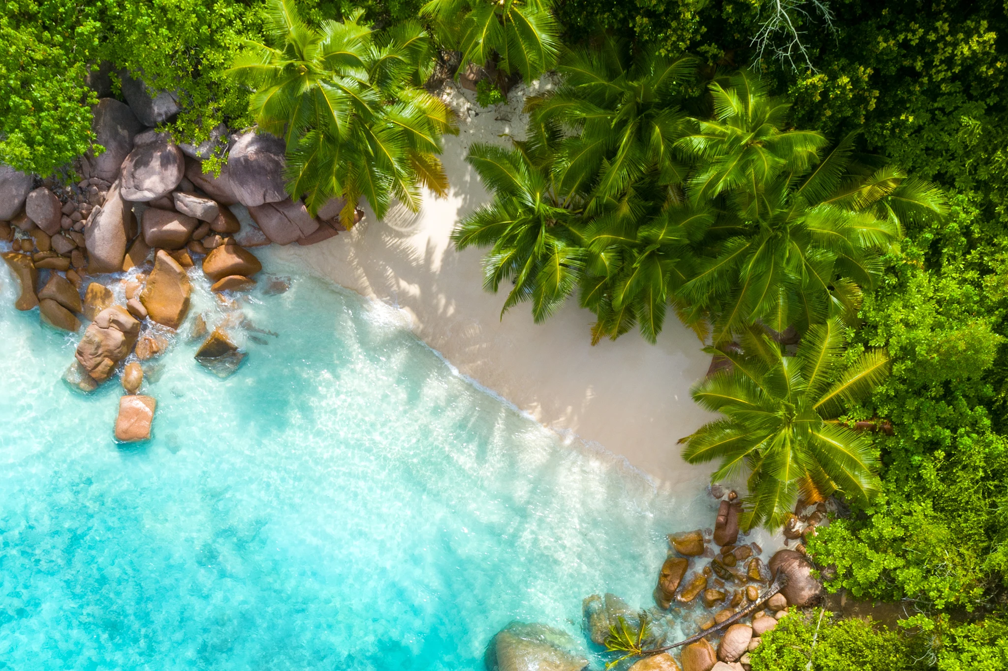 Fly med Emirates | Apollo