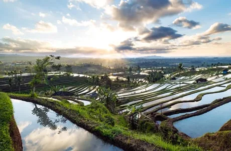 Severdigheter på Bali | Våre beste tips | Apollo