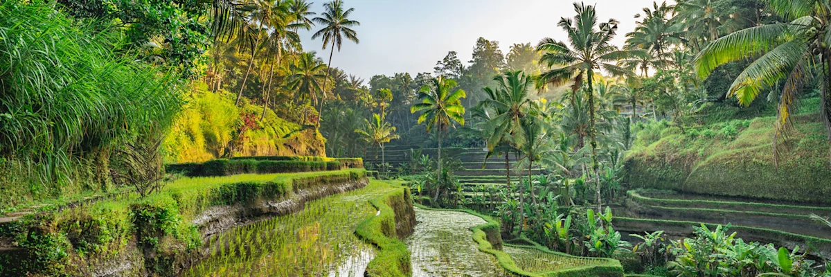 Saker att göra på Bali | Se våra bästa tips | Apollo