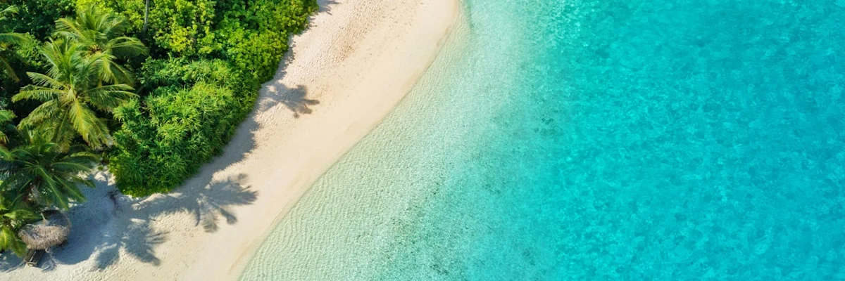 Solresor – resor till sol, värme och bad i havet året runt | Apollo