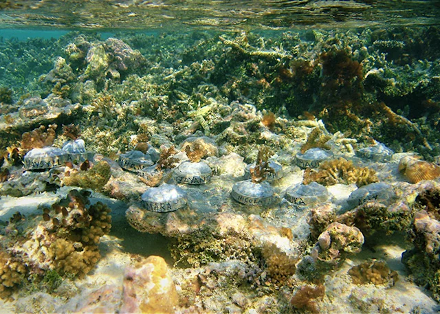 Projekter støttet af DERTOUR Foundation | Apollo