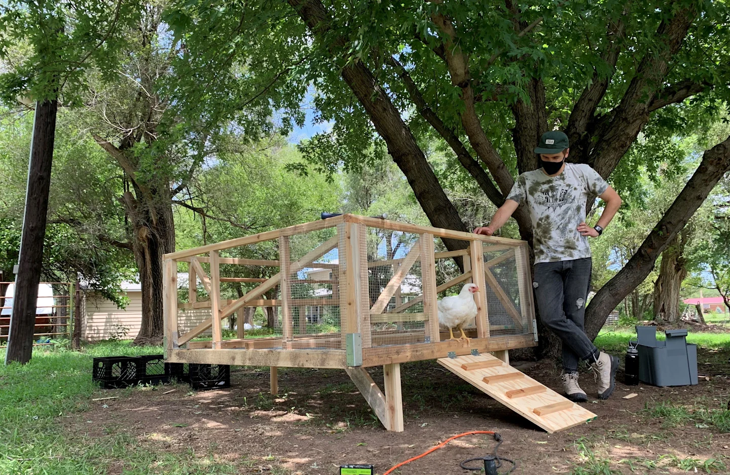 Getting to Know This Special Chicken Changed My Perspective