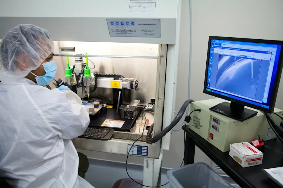 What Is Animal Testing & Which Animals Are Used For Testing?