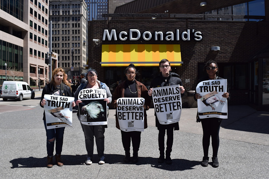 36 Creative Ways To Take Action For Animals On Your Campus (or Community!)