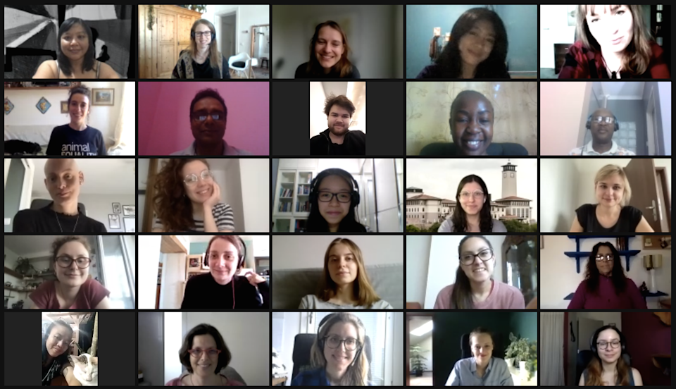 Open Wing Alliance 2021 Year in Review: Our Biggest Victories for Chickens