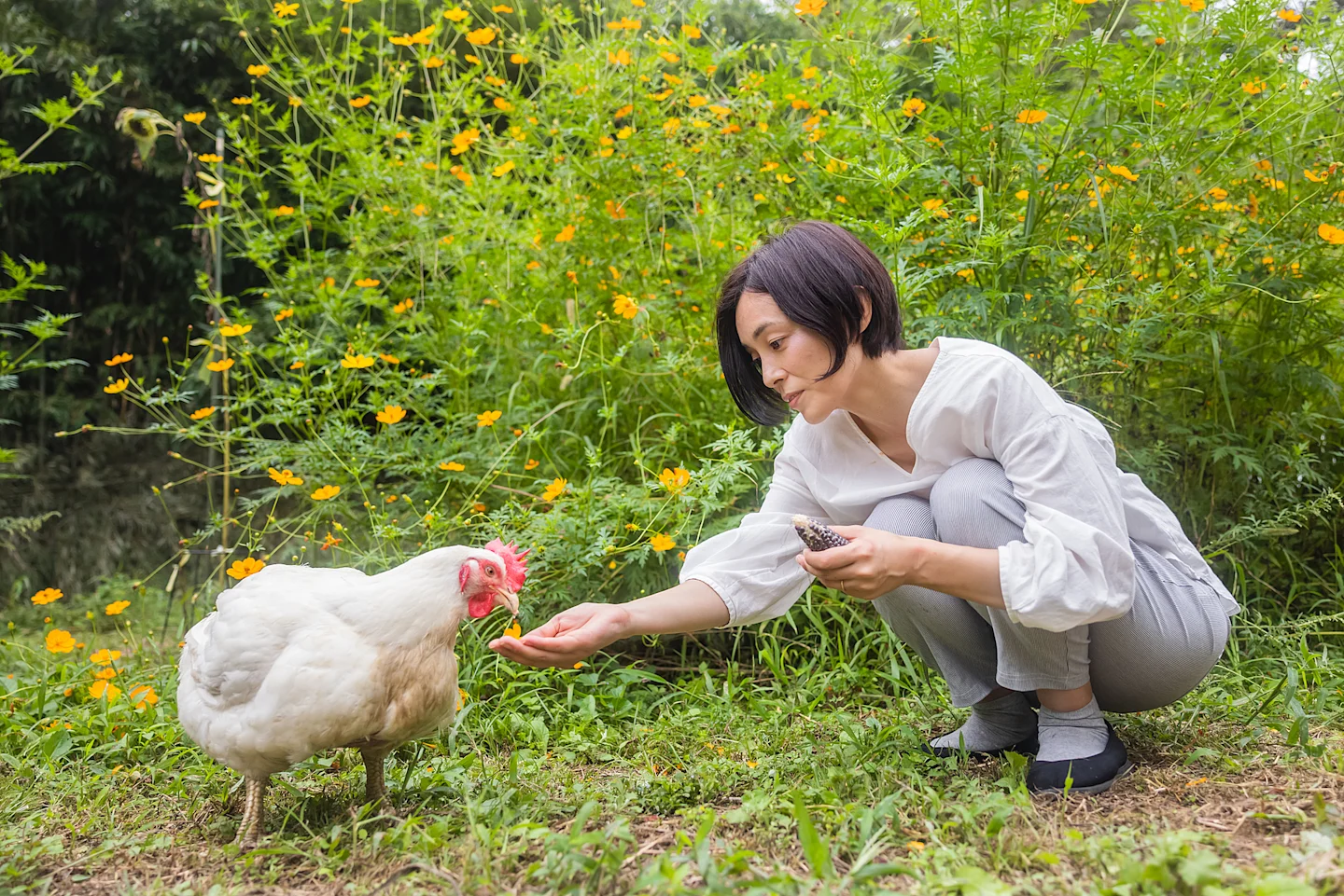 We explore what animal welfare is and why it's important.