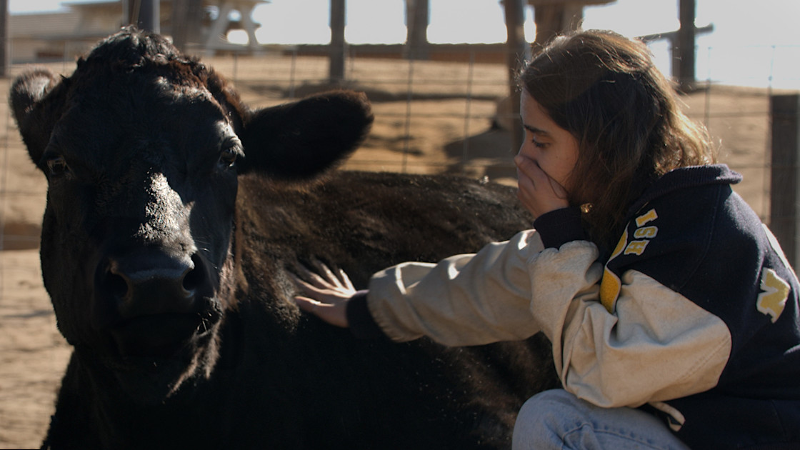 Meeting Animals: Tyler
