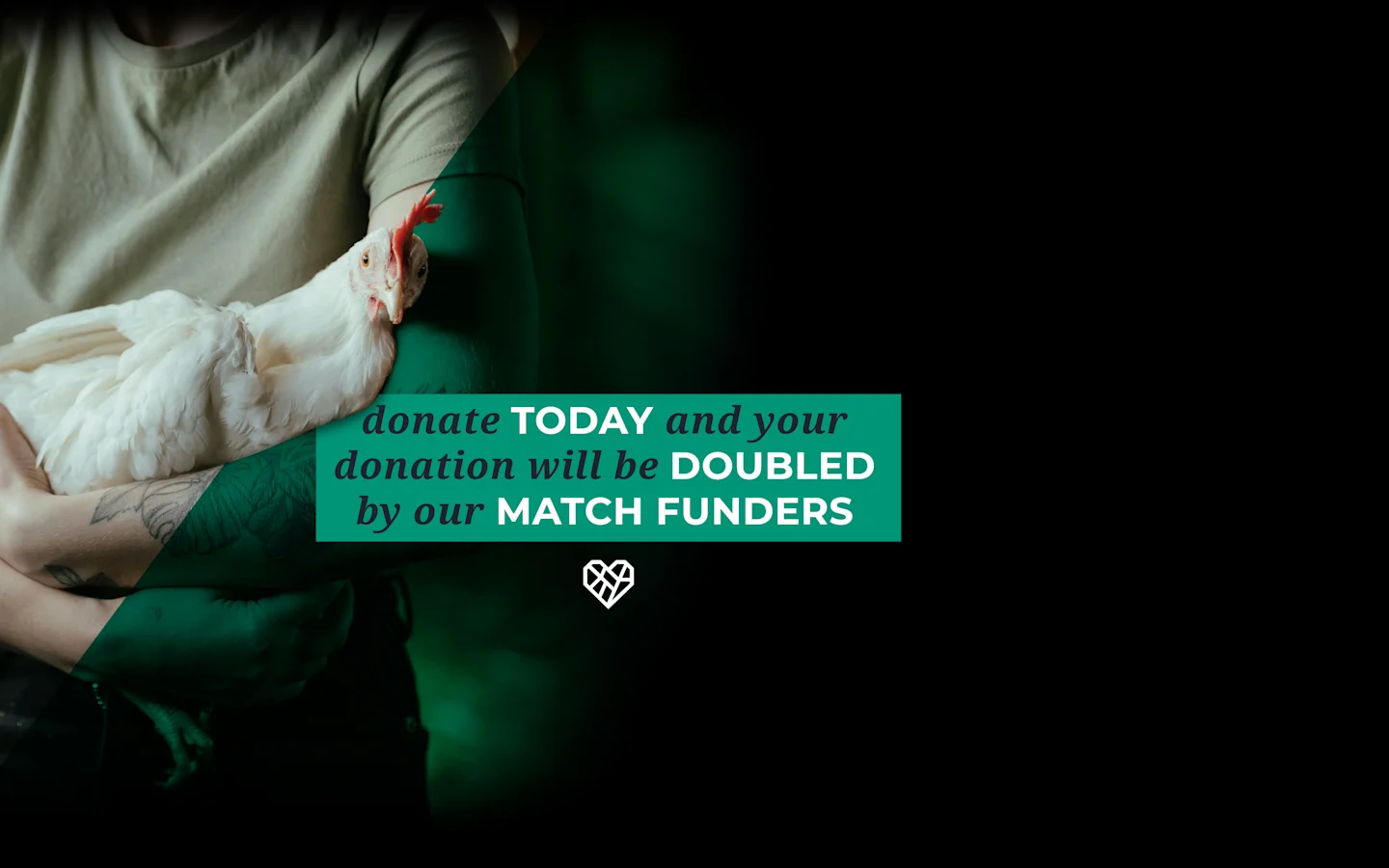 The Humane League UK. End animal abuse. Join us today.