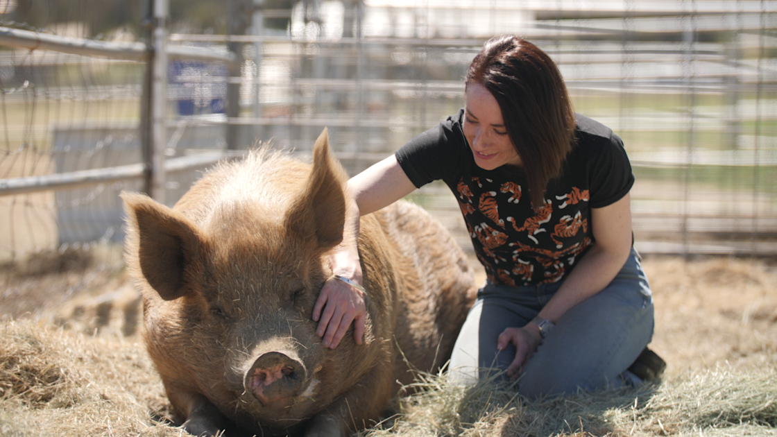 Dr. Vicky Bond Becomes First Female President of The Humane League