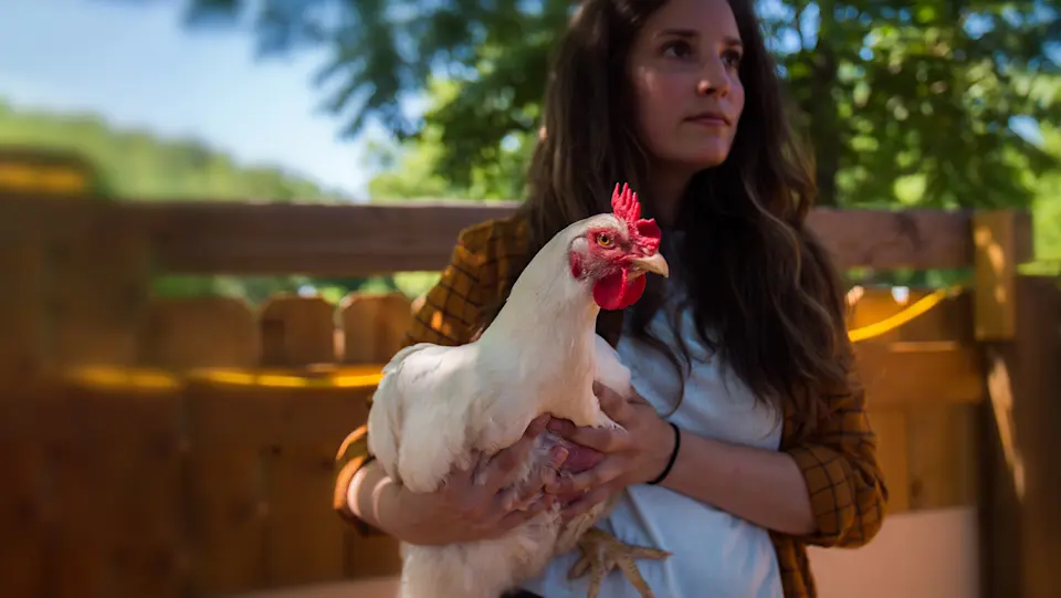 What makes us love animals? Animal lovers share their stories