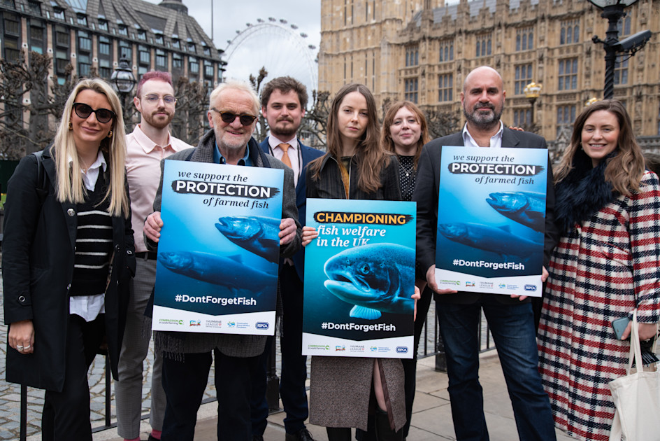 Politicians, animal charities and celebs unite for fish.