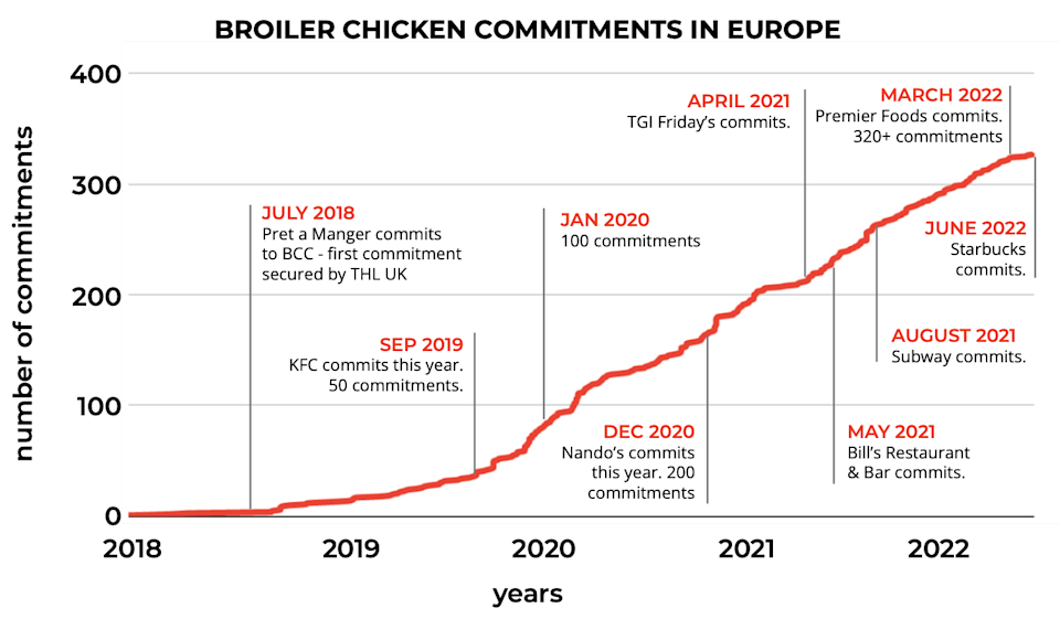 Report: Severe pain in chickens can be cut by two thirds but ...
