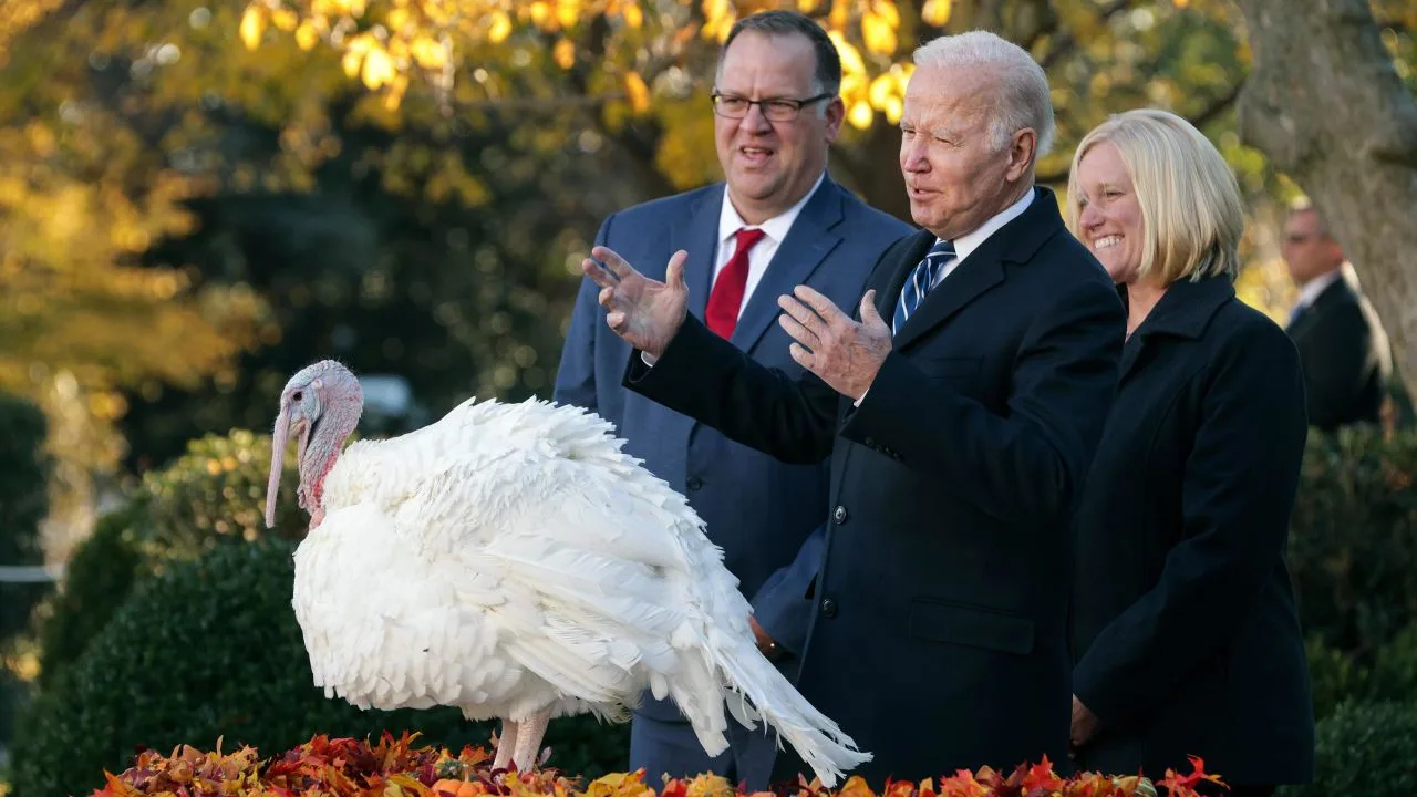 Presidential Turkey Pardoning: Why does the president pardon a turkey ...