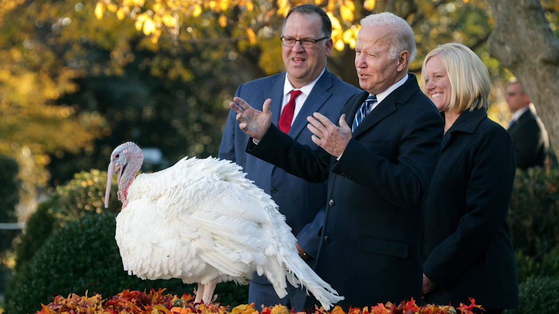 Presidential Turkey Pardoning: Why does the president pardon a turkey ...