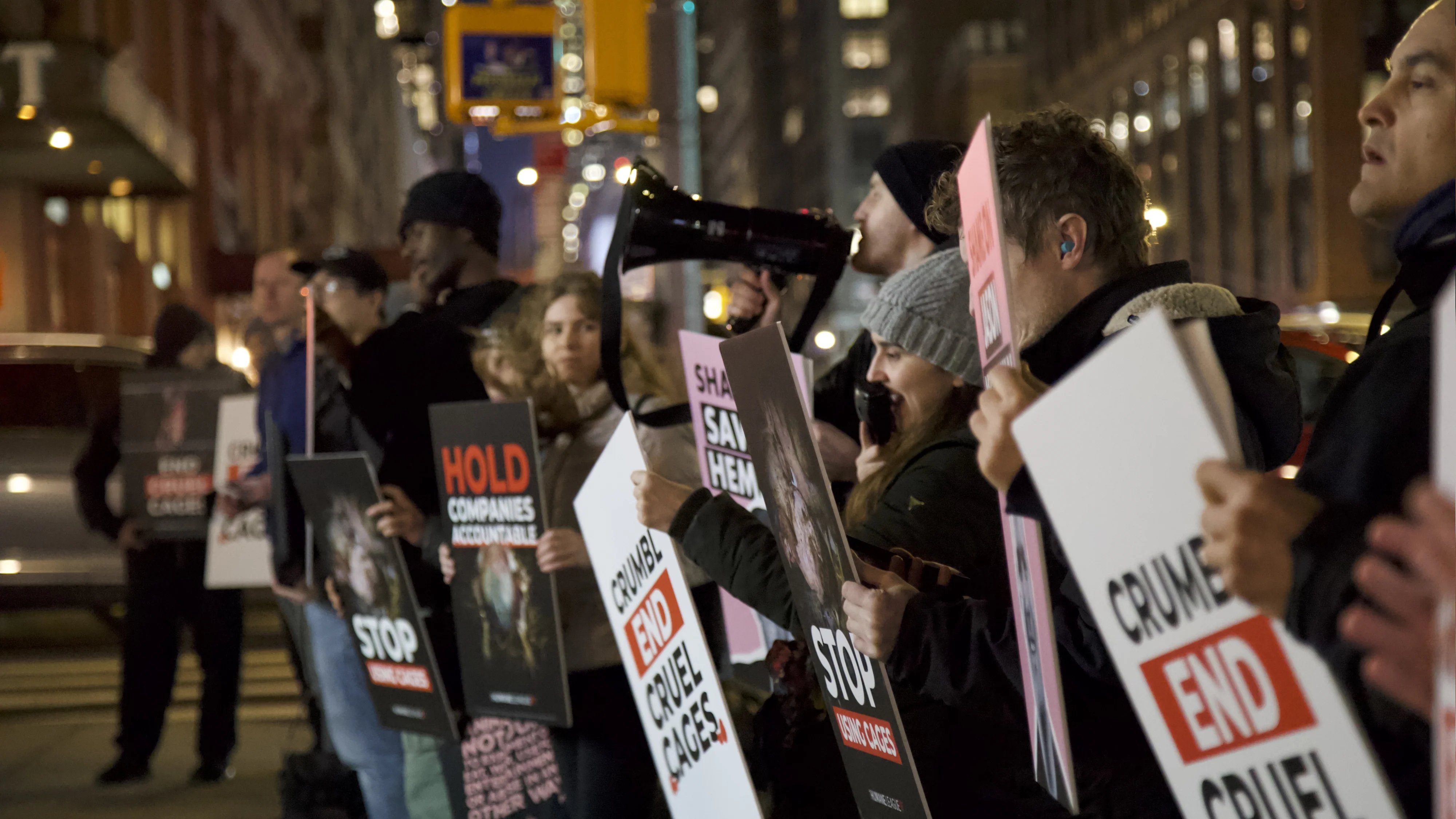 Campaigns for the animals | The Humane League