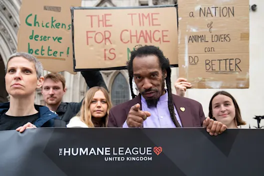 The Humane League UK. End animal abuse. Join us today.