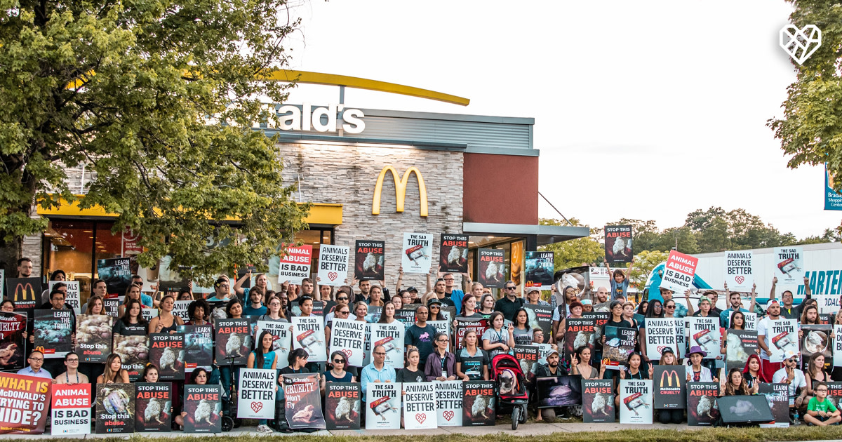 Activism