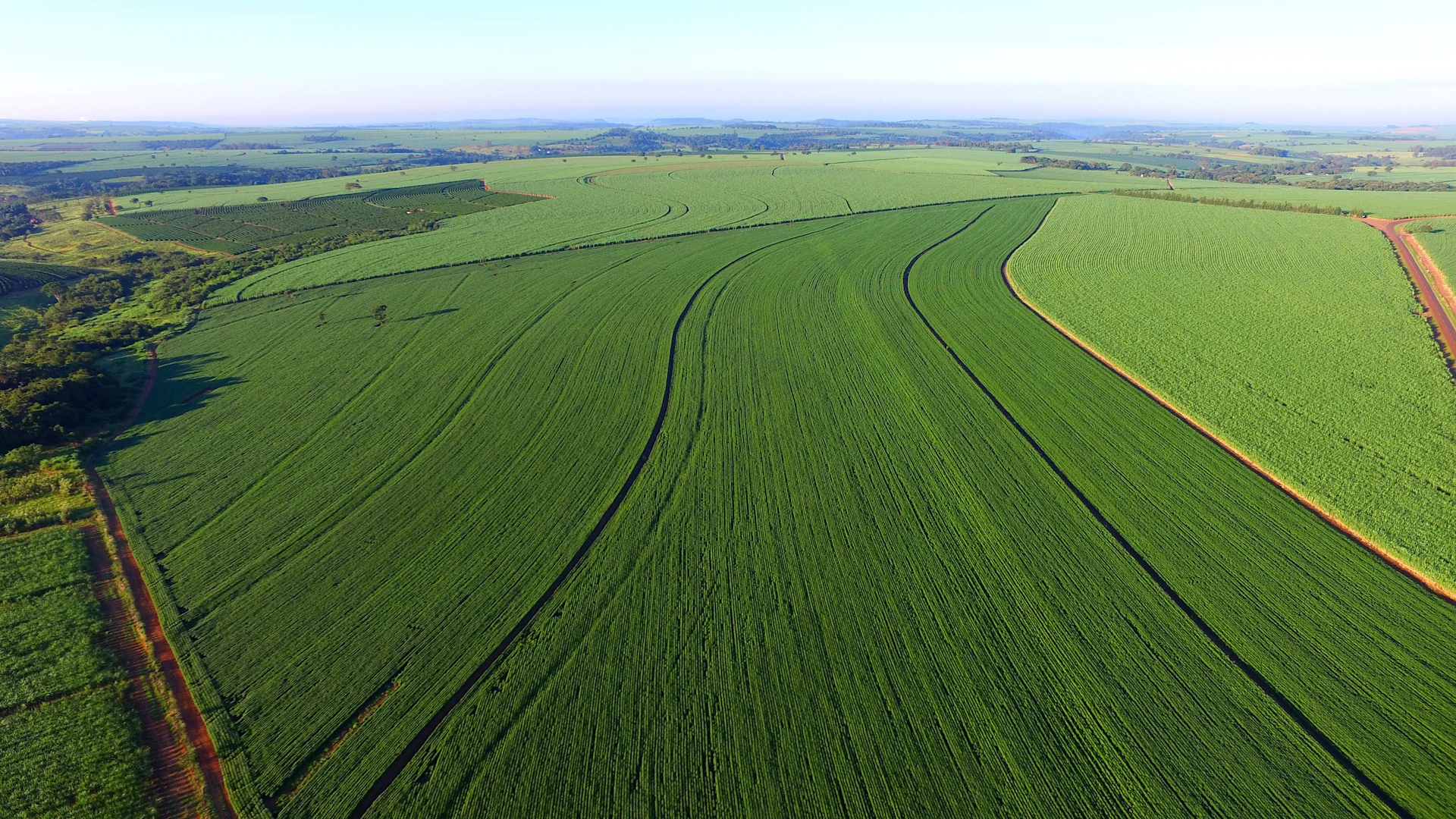The New “Factory Farm”: What Could Sustainable and Ethical Farming Look ...