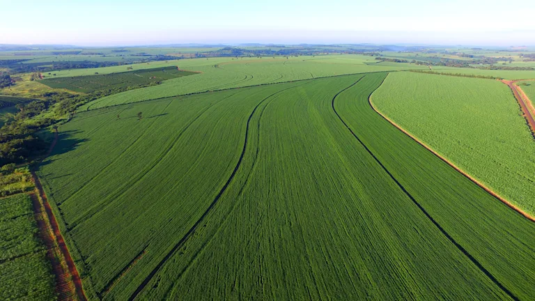 The New “Factory Farm”: What Could Sustainable and Ethical Farming Look ...