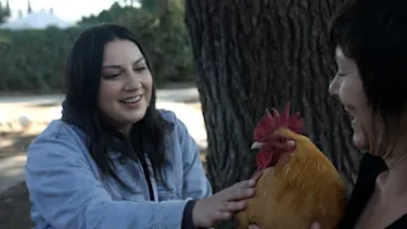 Videos | The Humane League