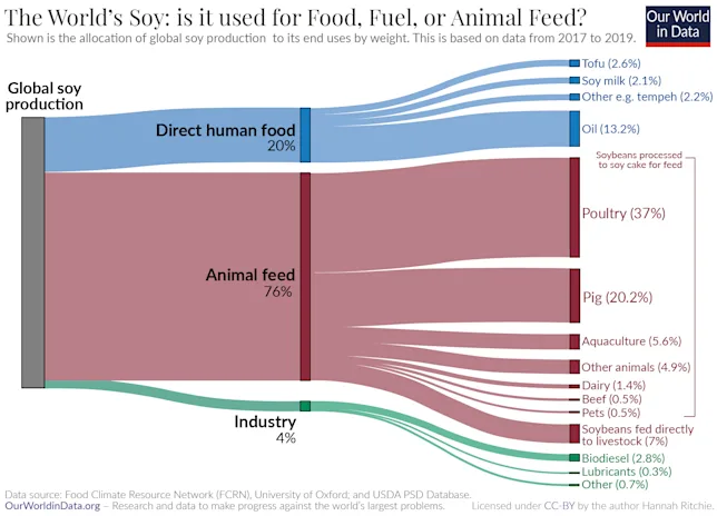 What Is in Animal Feed? The Animal Feed Industry