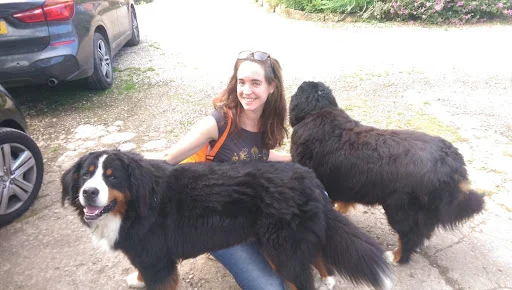 Becoming a farmed animal advocate