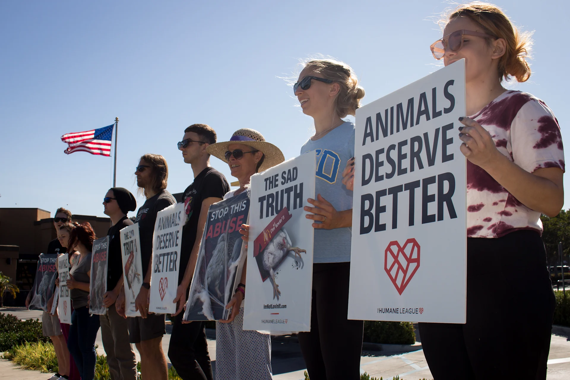 What Do Animal Organizations Do? Top 10 Animal Organizations