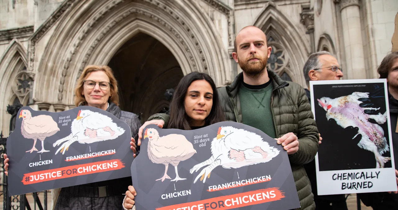 Why are protests important?